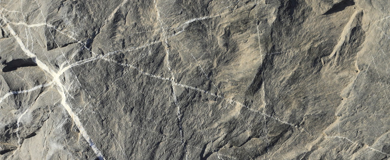 Stone Environmental is an environmental consulting firm in Vermont with ...